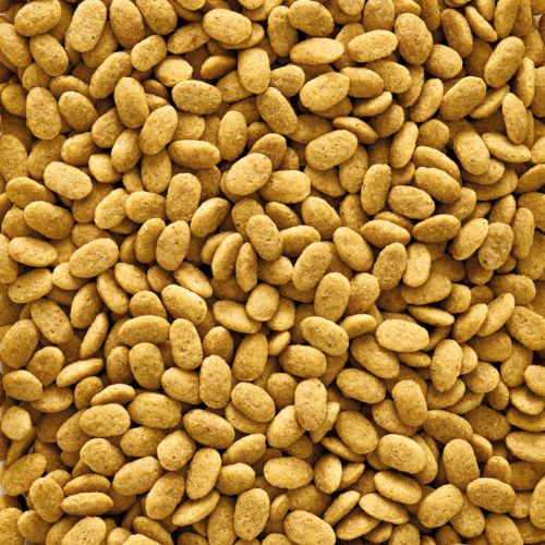 מזון כופתיות ורסלה לגה לתוכי גדול 1 ק"ג VERSELE-LAGA P15 - Rabbit Hole ...